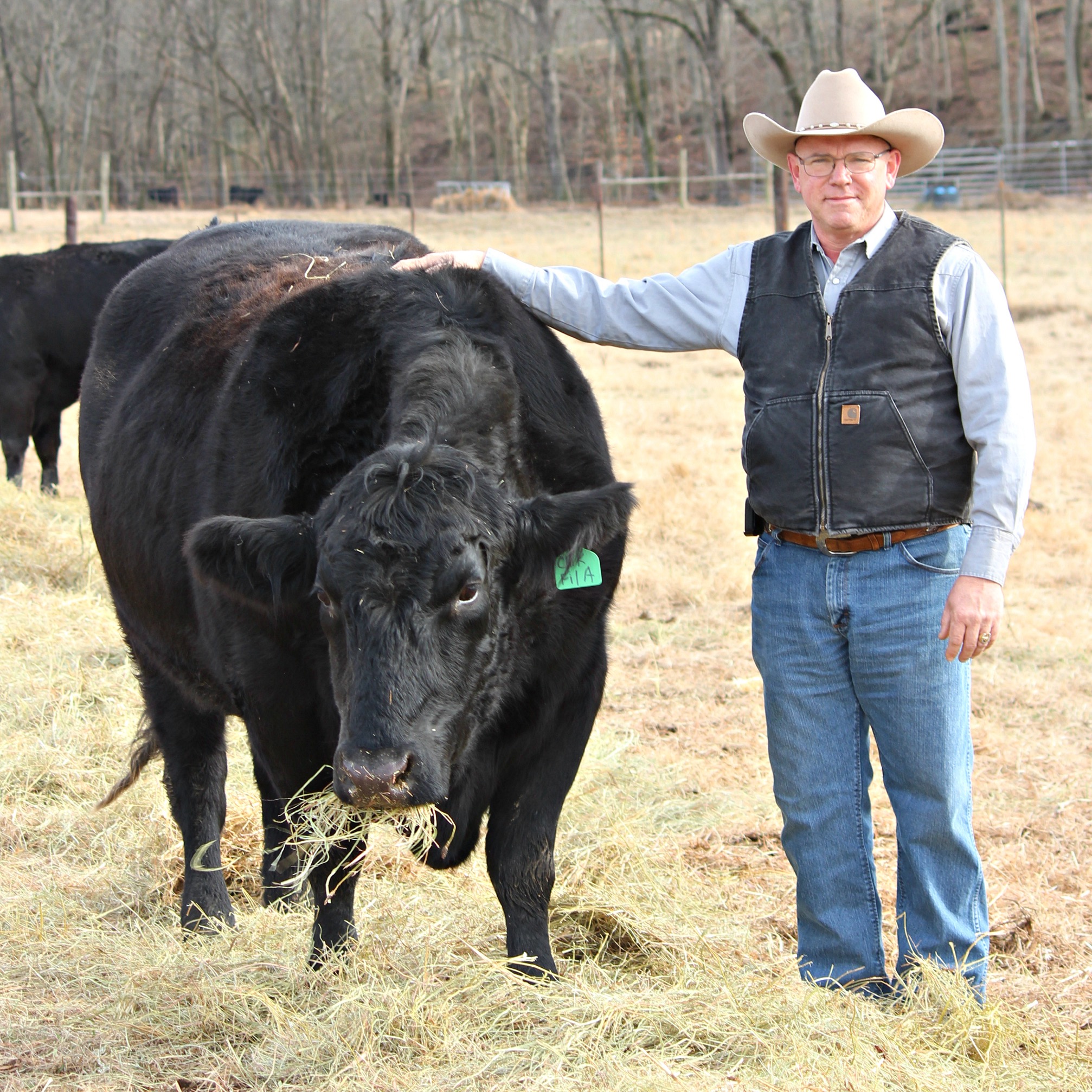 Beef Quality Assurance