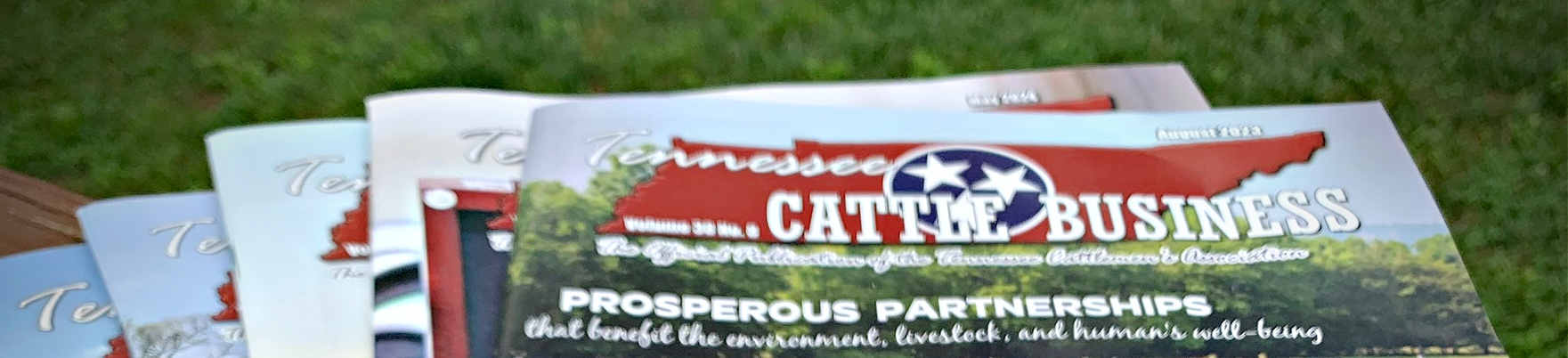 Magazine & Advertising