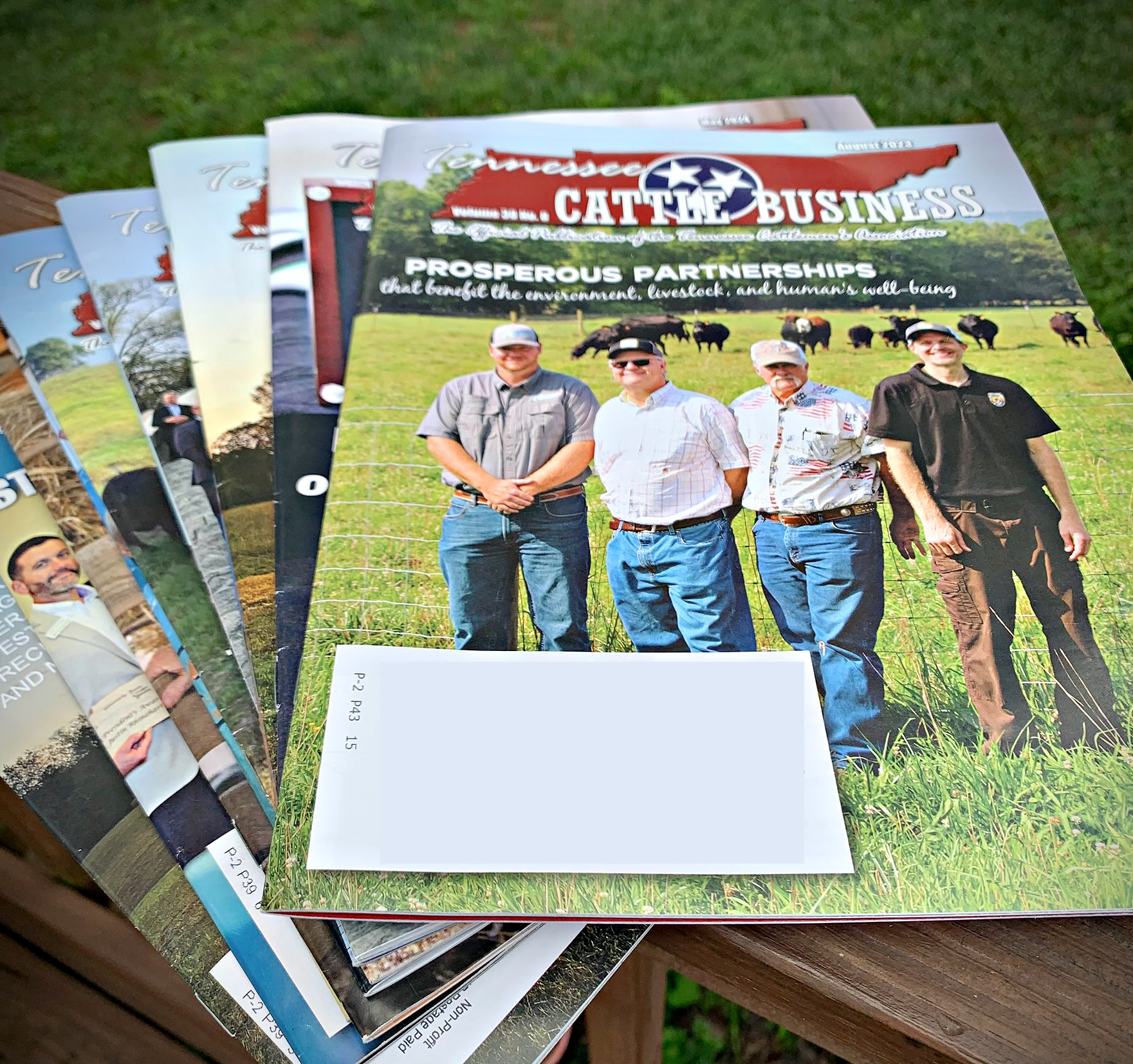 Magazine & Advertising